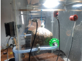 SMART SYSTEM FOR MUSHROOM CULTIVATION INTEGRATED WITH IoT AND DAT..