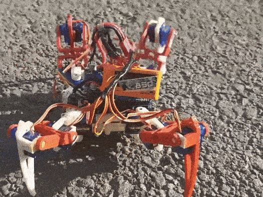 SPIDER MOBILE ROBOT | project